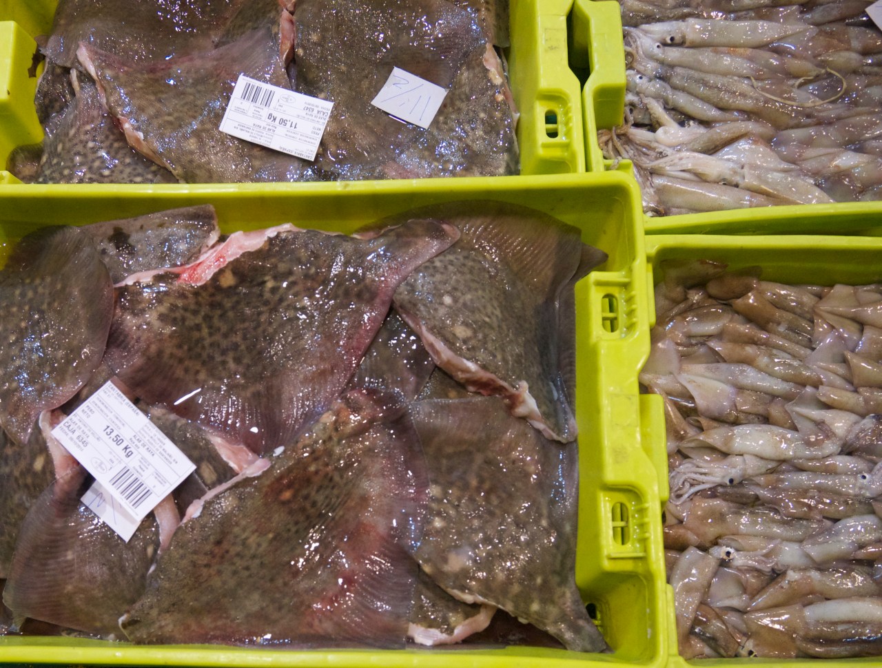 The Fish Market of all Fish Markets – Santander’s Lonja in Northern ...